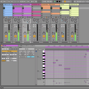 Ableton Lite vs Intro vs Standard vs Suite: Which Version to Buy?